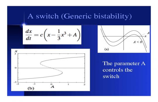 Switches, Oscillators (and the Cell Cycle) | www.mathtube.org
