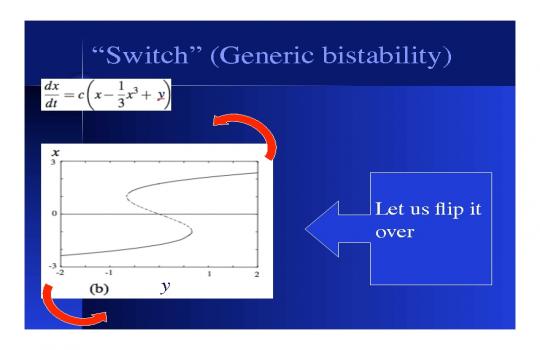 Switches, Oscillators (and the Cell Cycle) | www.mathtube.org