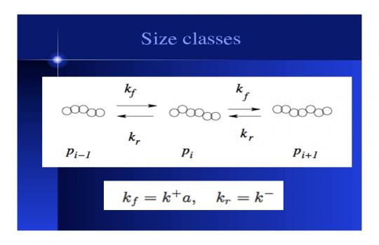 Microtubules, - polymer size distribution - and other balance equation ...