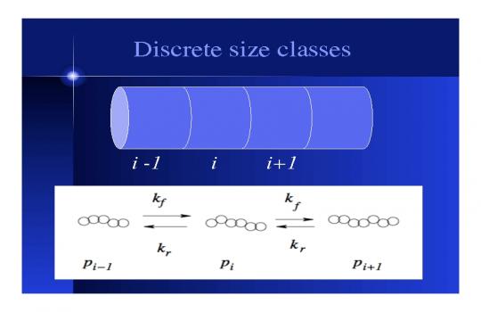 Microtubules, - polymer size distribution - and other balance equation ...