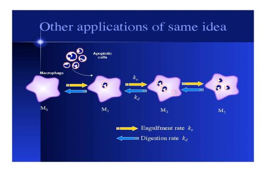 Polymer Size Distributions (continued) | www.mathtube.org