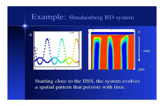 Diffusion, Reaction, and Biological pattern formation | www.mathtube.org
