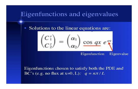 Diffusion, Reaction, and Biological pattern formation | www.mathtube.org