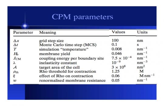 Cell Polarity Models & Simulating Cell Motility Using the Cellular ...