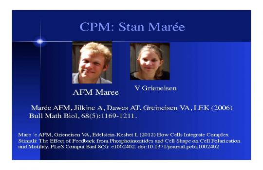 Cell Polarity Models And Simulating Cell Motility Using The Cellular Potts Model Cpm