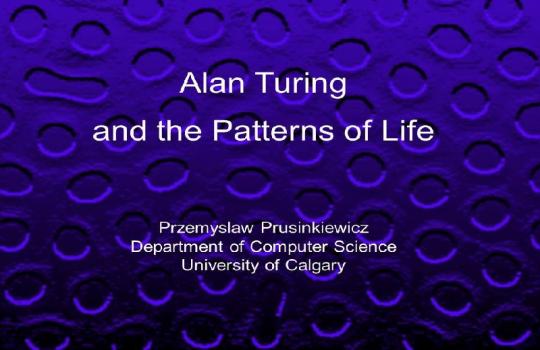 Alan Turing and the Patterns of Life | www.mathtube.org