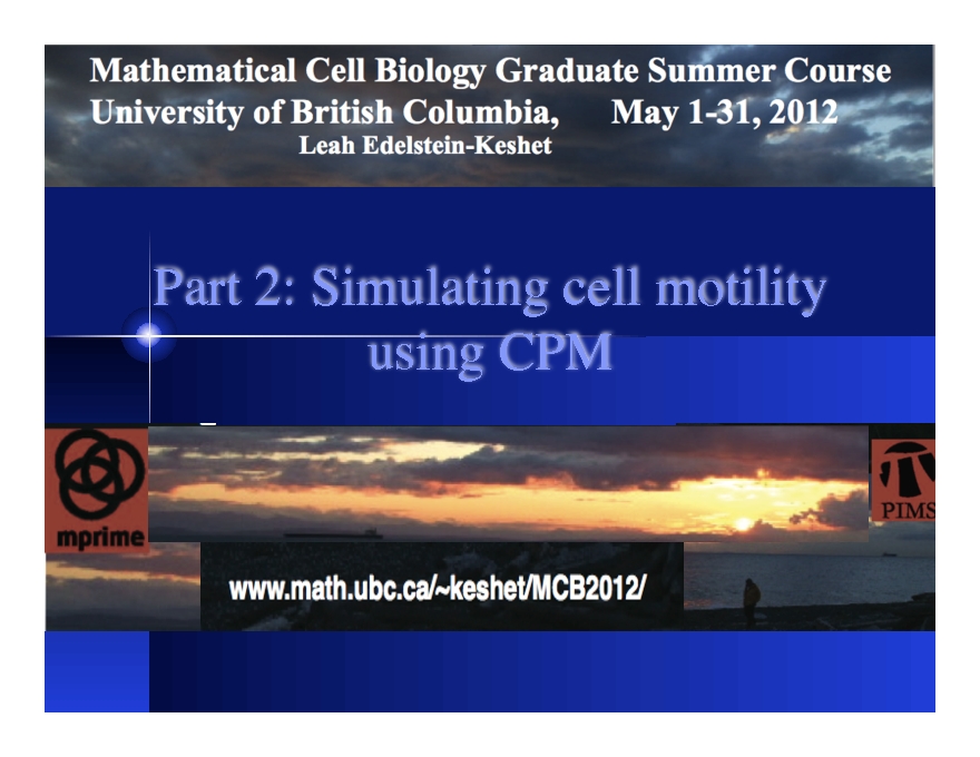 Cell Polarity Models & Simulating Cell Motility Using the Cellular Potts Model (CPM) | mathtube.org
