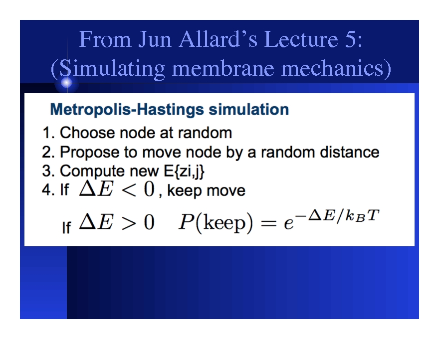 Cell Polarity Models & Simulating Cell Motility Using the Cellular Potts Model (CPM) | www ...