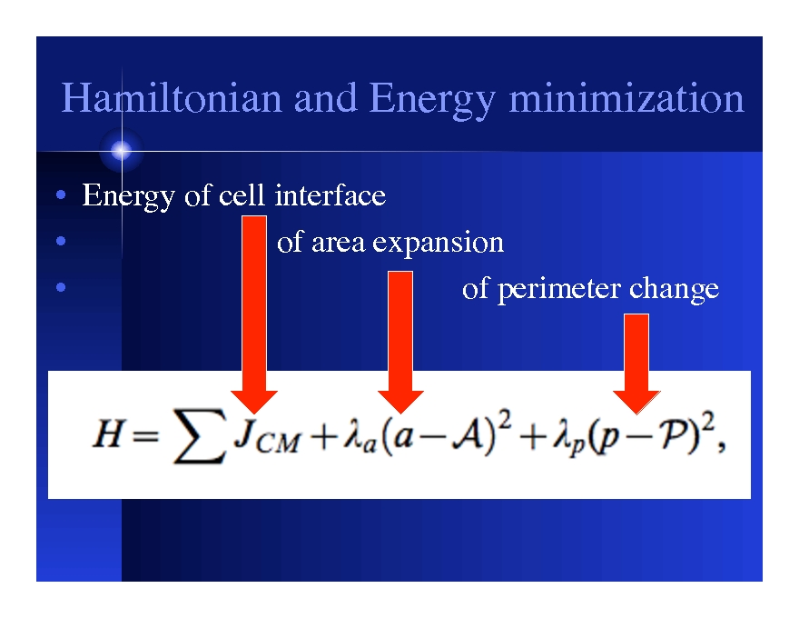 Cell Polarity Models And Simulating Cell Motility Using The Cellular Potts Model Cpm