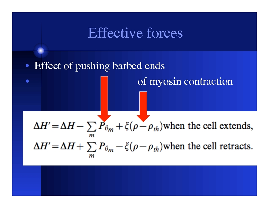 Cell Polarity Models & Simulating Cell Motility Using the Cellular ...