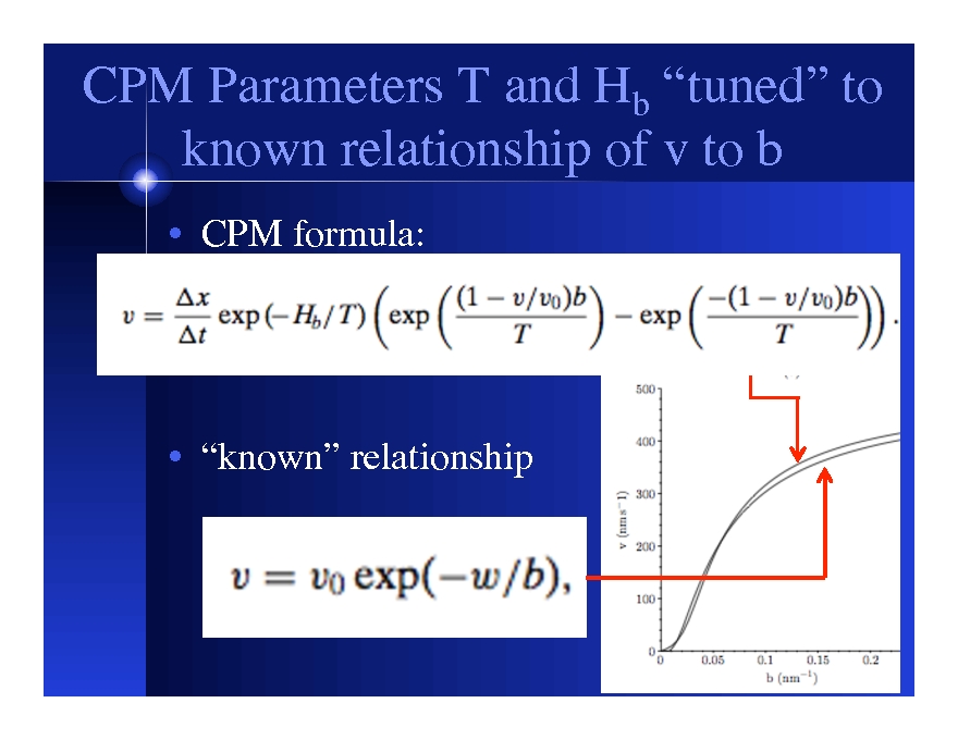 Cell Polarity Models & Simulating Cell Motility Using the Cellular Potts Model (CPM) | mathtube.org