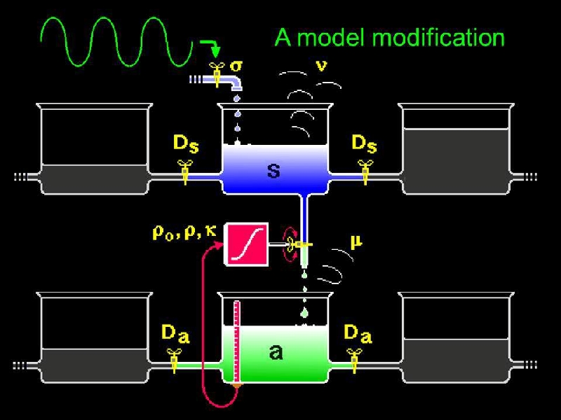 Alan Turing and the Patterns of Life | mathtube.org