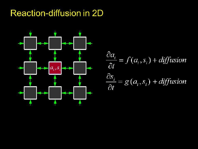 Alan Turing and the Patterns of Life | mathtube.org