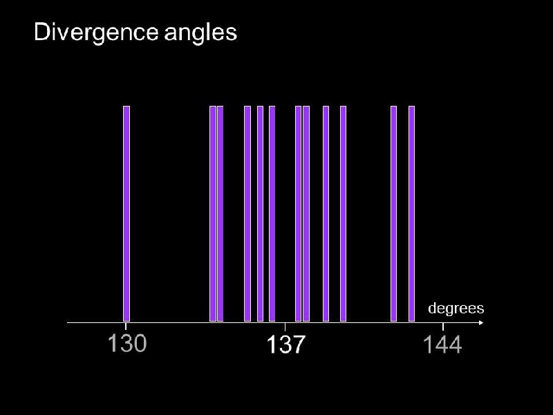 Alan Turing and the Patterns of Life | mathtube.org