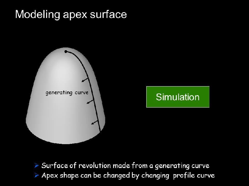Alan Turing and the Patterns of Life | mathtube.org