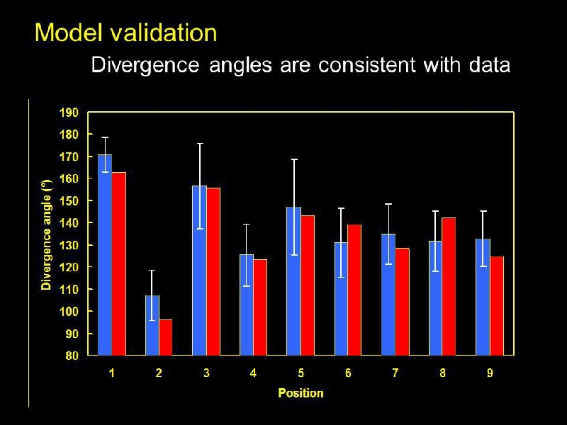 Alan Turing and the Patterns of Life | mathtube.org